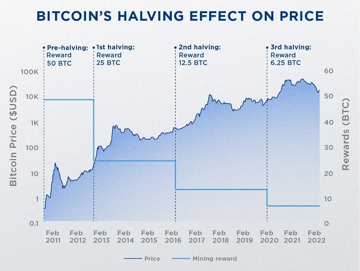 Exploring the Impact of Bitcoin Halving
